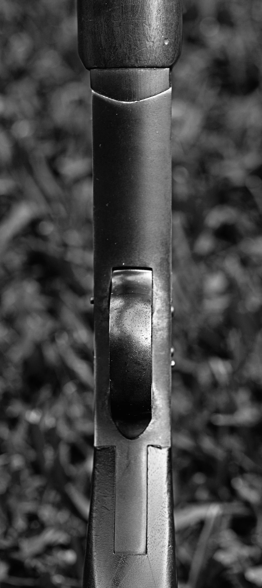 H&R Topper M48 | Birdhunter