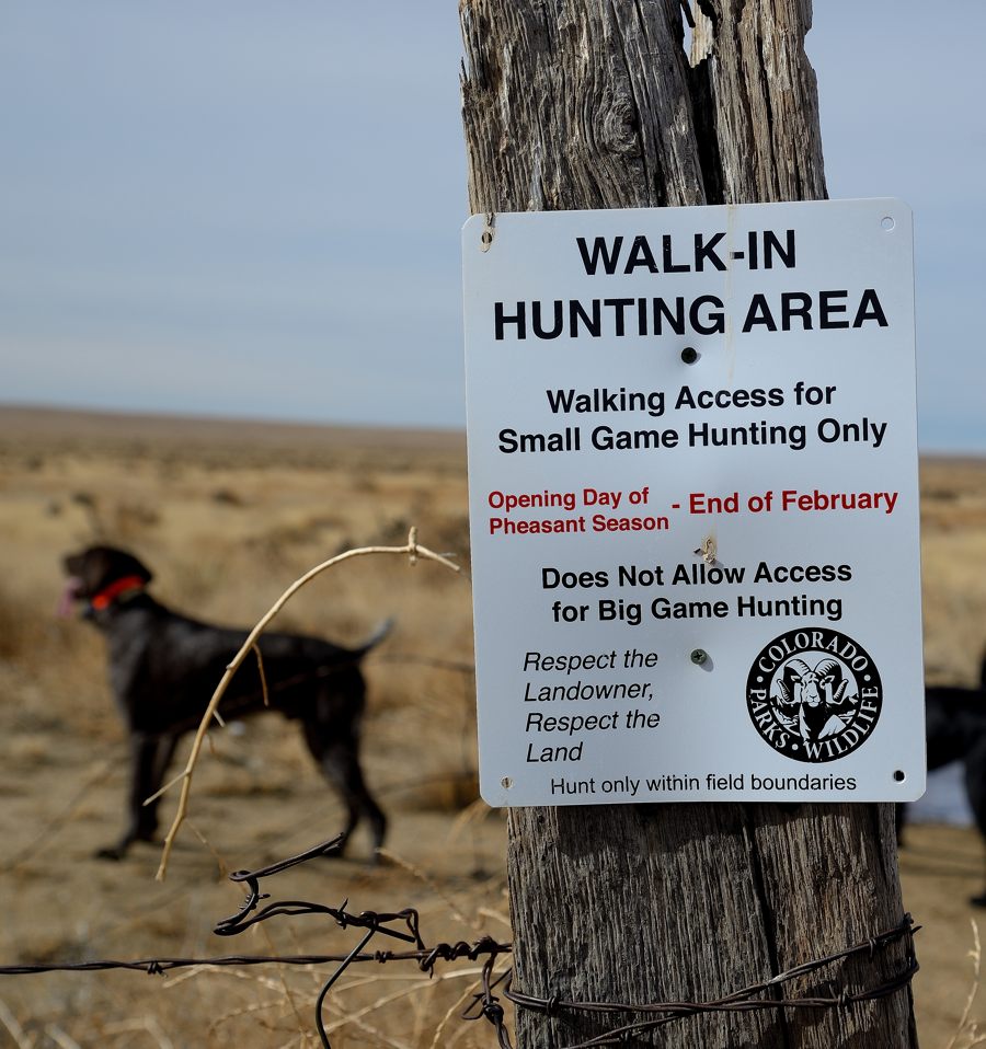 Colorado Walk-In Area Bird Hunting | Birdhunter