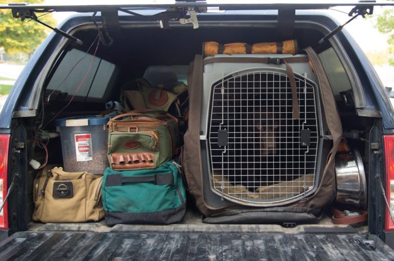 Western Sharptails | Birdhunter