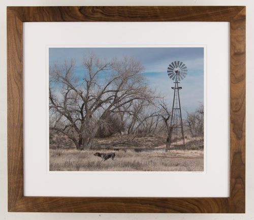 Birdhunter | images from the bird hunting experience | Page 3