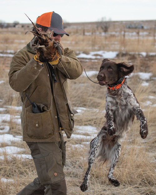 Birdhunter | images from the bird hunting experience | Page 3