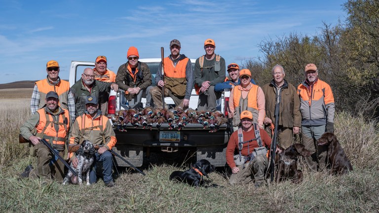 Birdhunter | images from the bird hunting experience