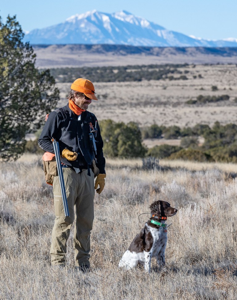 Birdhunter | images from the bird hunting experience
