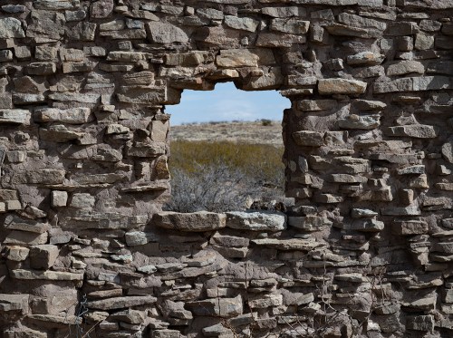 Birdhunter | images from the bird hunting experience